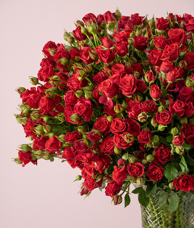 Arrangements – Alia Flowers