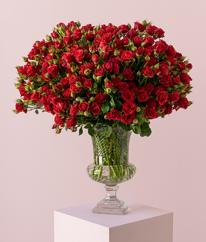 Arrangements – Alia Flowers