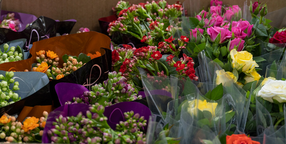 About – Alia Flowers