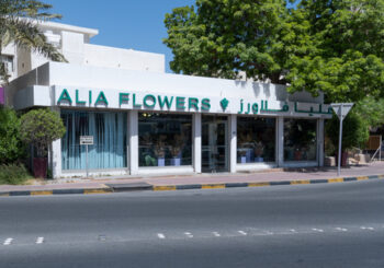 Contact – Alia Flowers